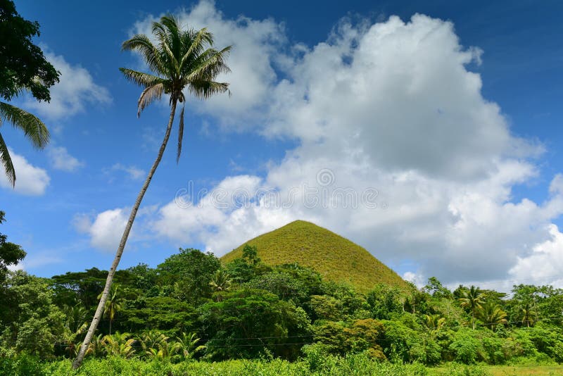 The Chocolate Hills Geological Formation in Bohol in Philippines Stock ...