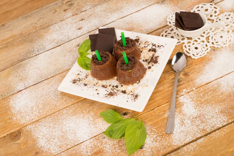 Chocolate ice pops stock image. Image of pops, fresh - 43348383