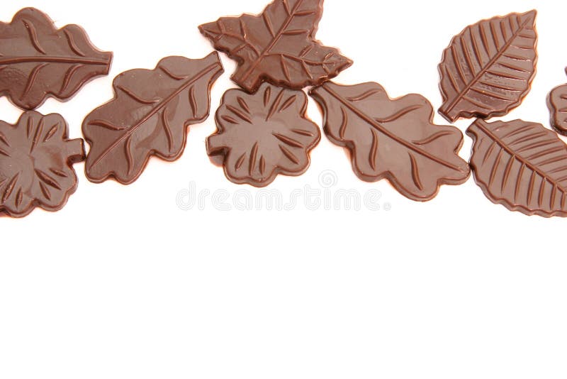 Chocolate leaves stock photo. Image of cuisine, decorate - 1991450