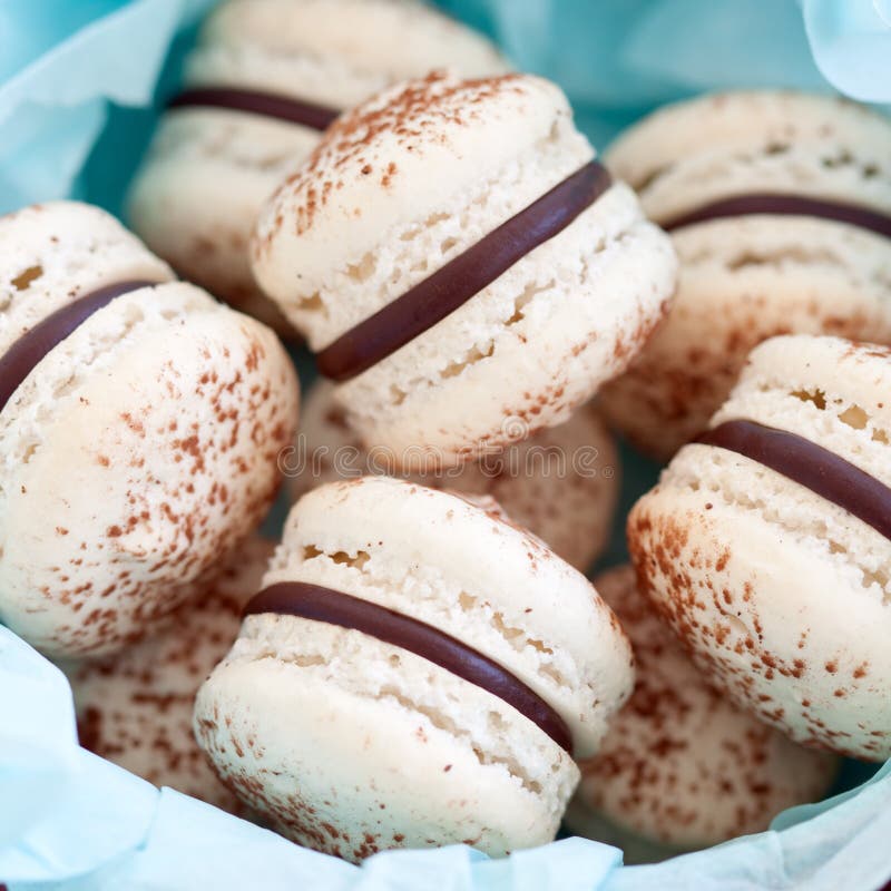 Chocolate macarons stock photo. Image of macaron, gourmet - 19145198