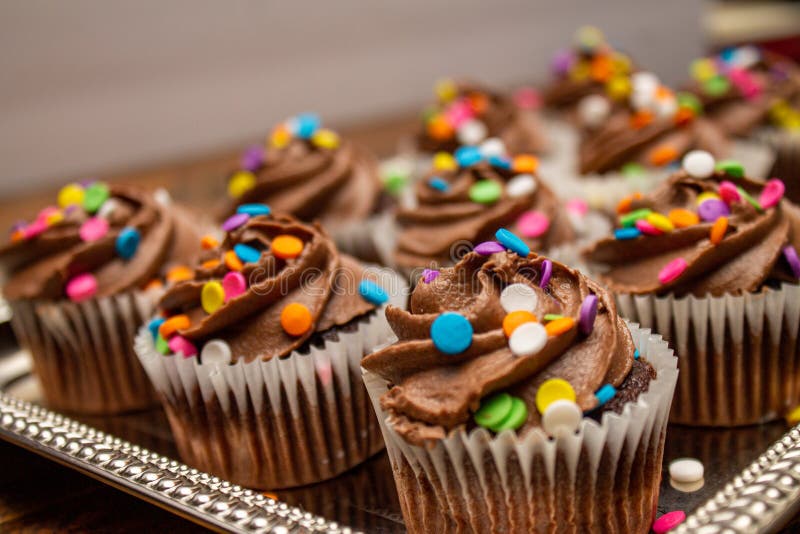 Chocolate Mini Cupcakes with Sprinkles Stock Image - Image of icing ...