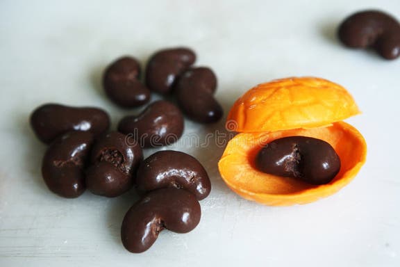 Chocolate Molded into Shell, and the Chocolate Kept in the Shell As a ...