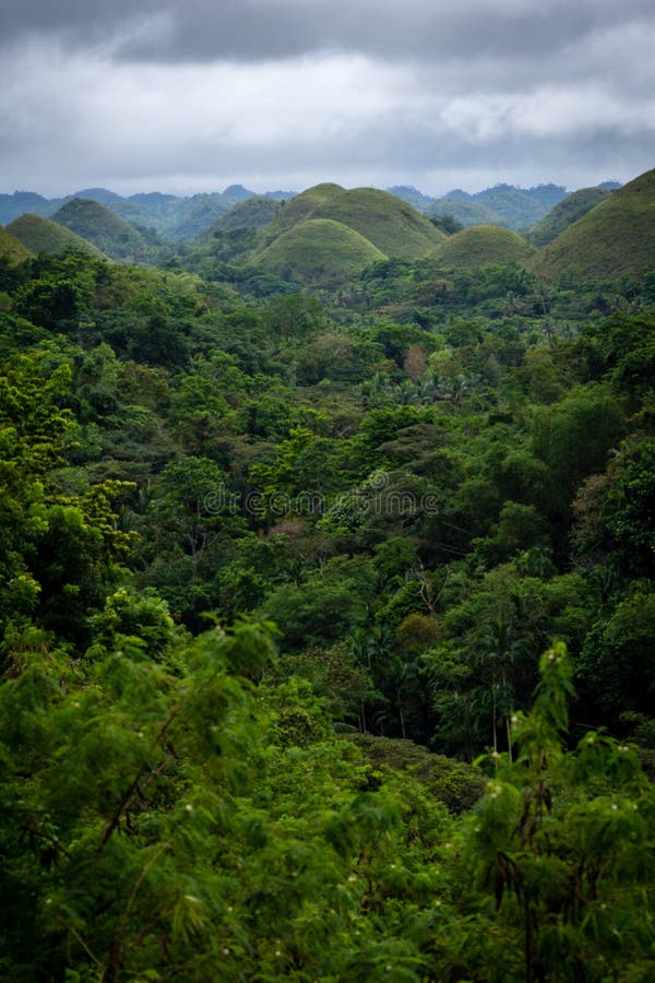 Chocolate Mountains of Bohol Island Stock Photo - Image of jungle ...