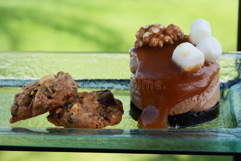 Chocolate Mousse and Cookies Stock Photo - Image of chip, brown: 160721718