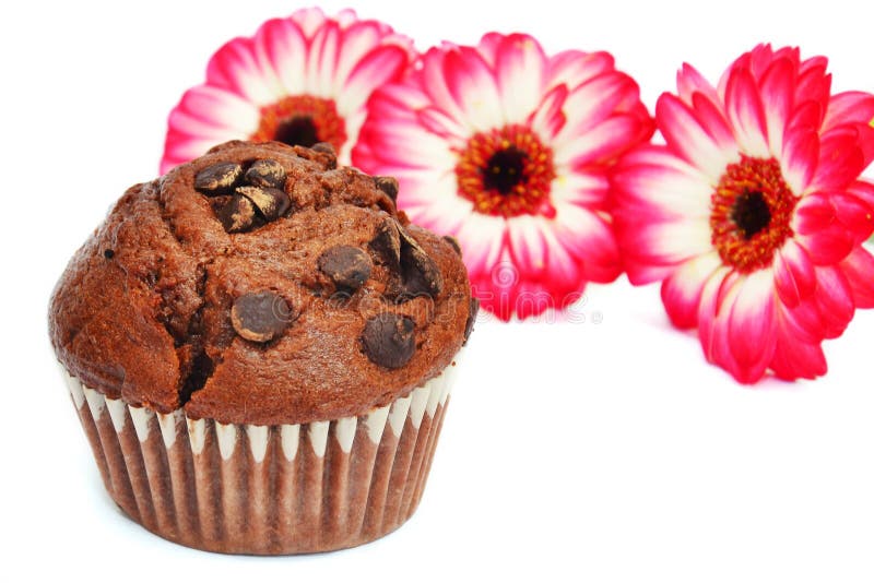 Chocolate Muffin and Flowers Stock Image - Image of gerber, lunch: 29130647