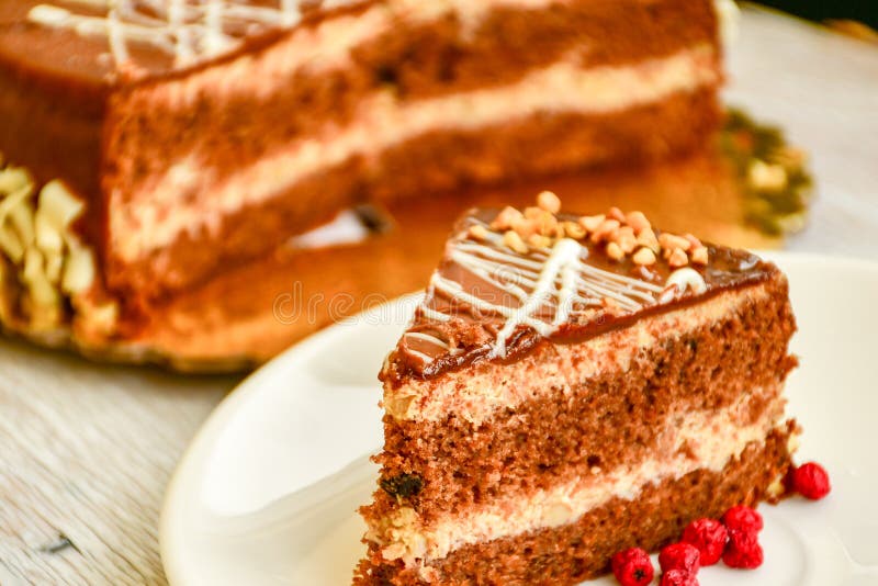 Chocolate and nuts cake stock photo. Image of chocolate - 111736140