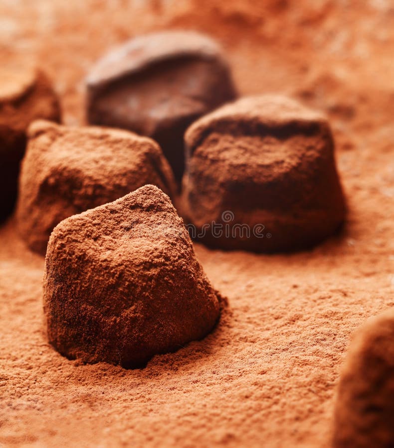 Chocolate Pieces in Cocoa Powder Stock Photo - Image of rolled, dessert ...