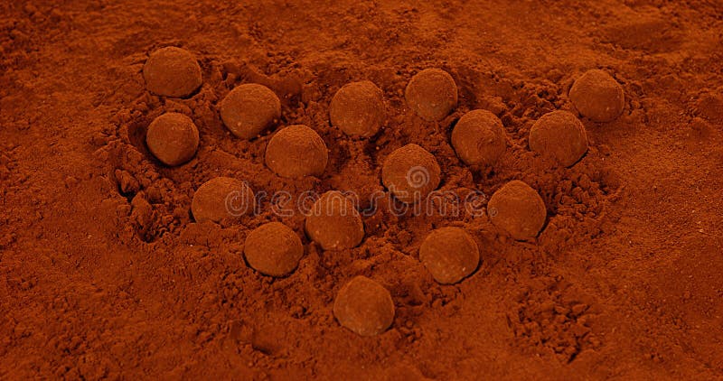 Chocolate Powder Falling on Chocolate Truffles Stock Image - Image of ...