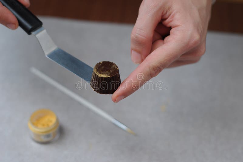 Chocolate praline stock photo. Image of prepare, filling - 61593550