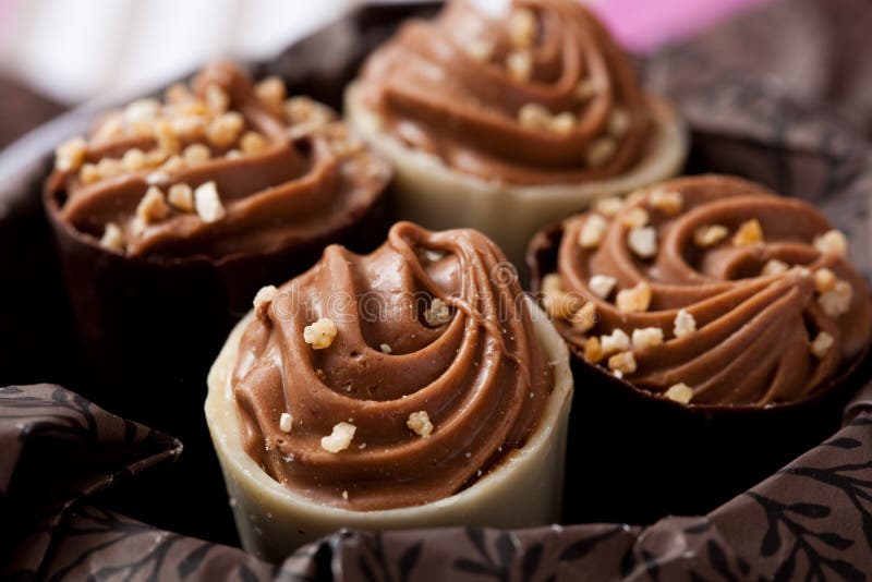 Chocolate pralines stock photo. Image of brown, bonbon - 19388322
