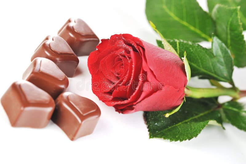 Chocolate and red rose stock photo. Image of luxury, rose - 12588872