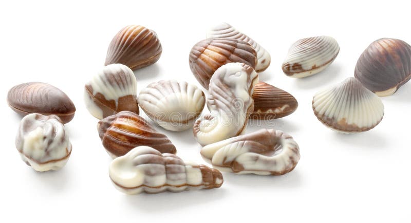 Various Kinds of Chocolate Seashells Stock Image - Image of belgium ...