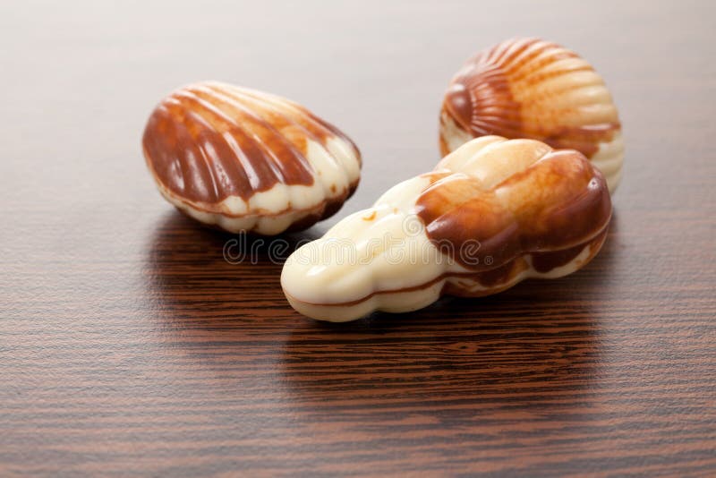 Chocolate seashells stock photo. Image of brown, fine - 14478108