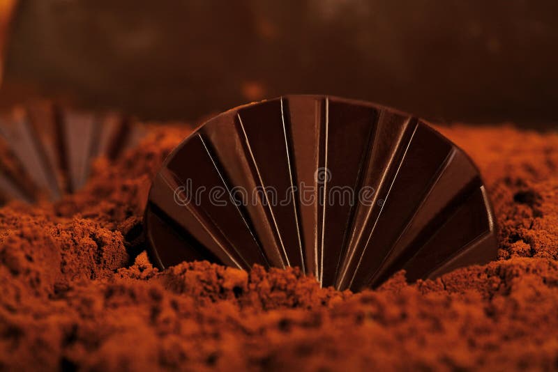 Chocolate Shell on a Chocolate Beach. Stock Photo - Image of candies ...