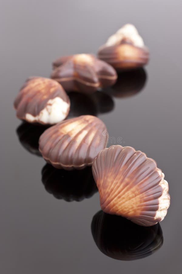 Chocolate shells stock photo. Image of desire, decorative - 21716984