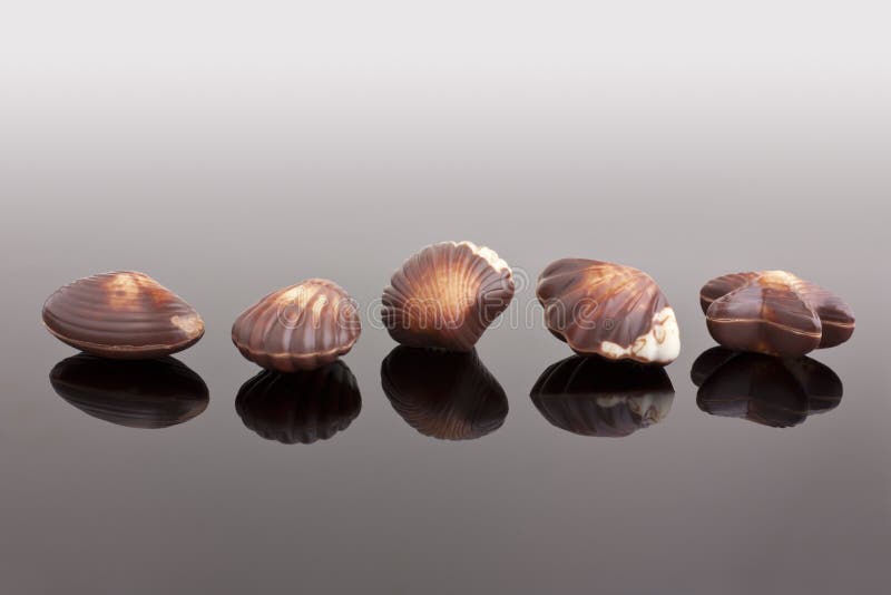 Chocolate shells stock photo. Image of decorative, dark - 21726738