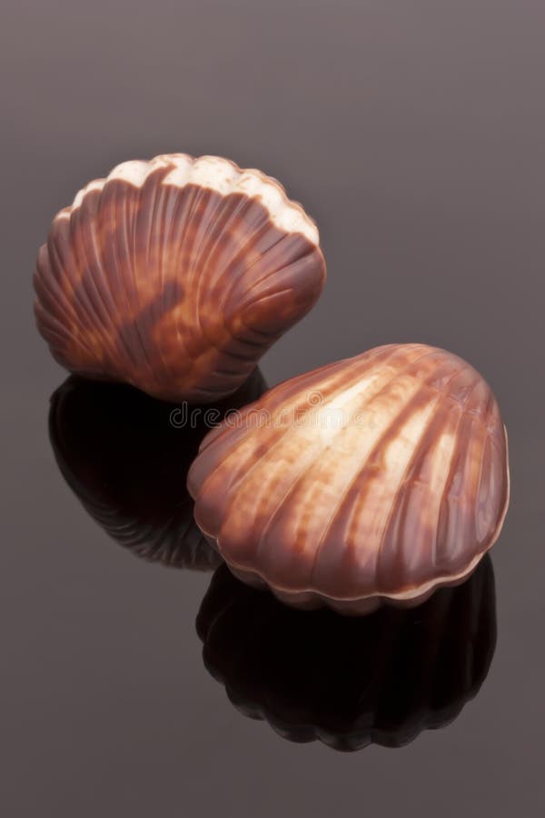 Chocolate shells stock image. Image of appetite, bonbon - 21733285