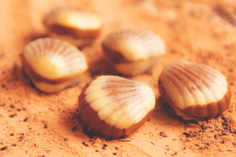 Chocolate Shells Beach Sand Stock Photo - Image of stones, delicious ...