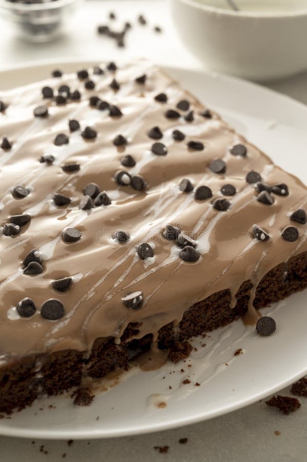 Chocolate Sponge Cake with Cream and Chocolate Chips. Cooking One Pan ...