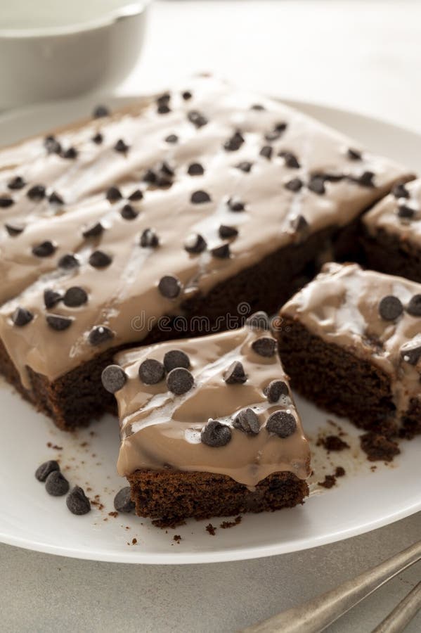 Chocolate Sponge Cake with Cream and Chocolate Chips. Cooking One Pan ...