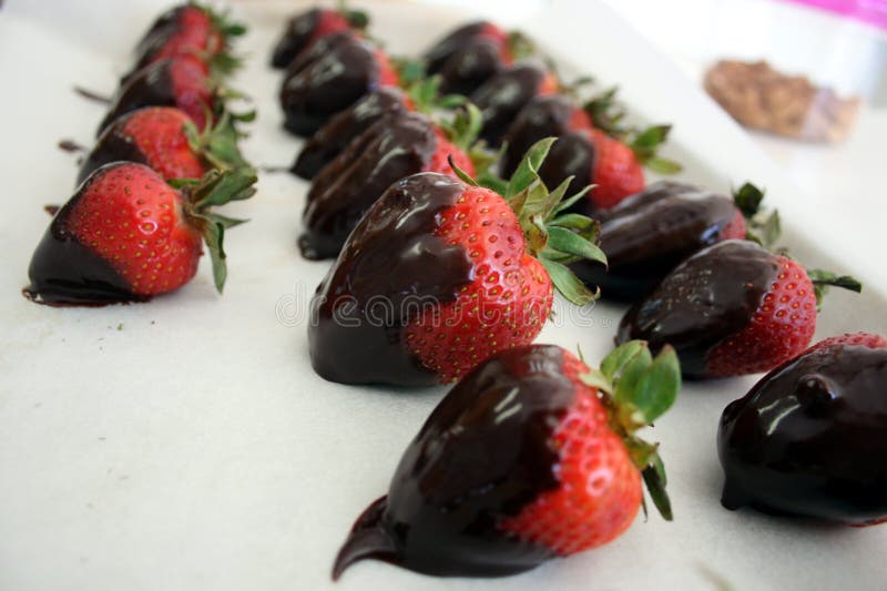 Chocolate Strawberries stock photo. Image of pink, chocolate - 5982870