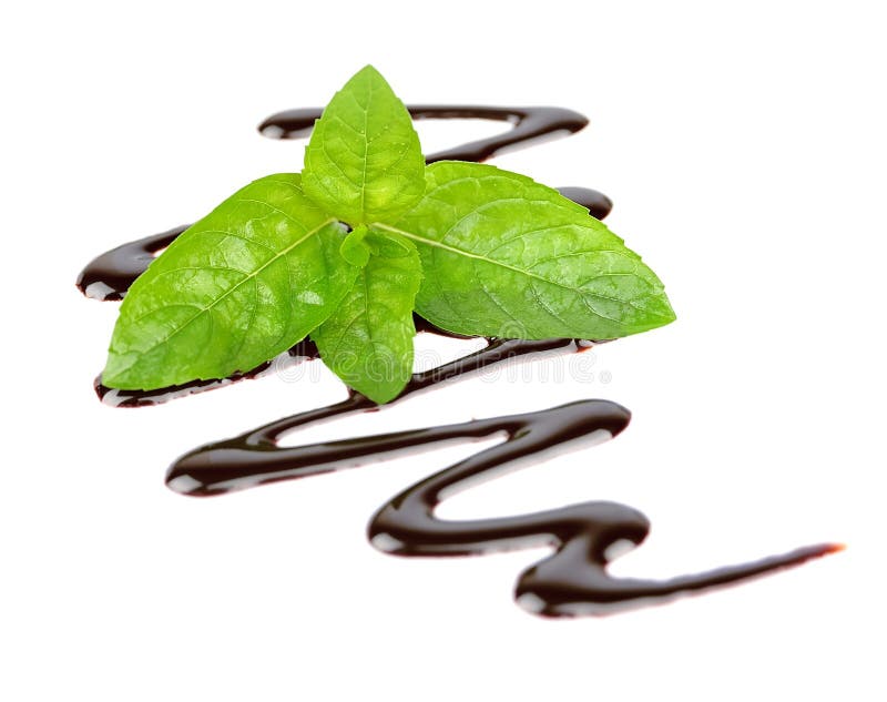 Chocolate bar with mint stock image. Image of broken - 19209575