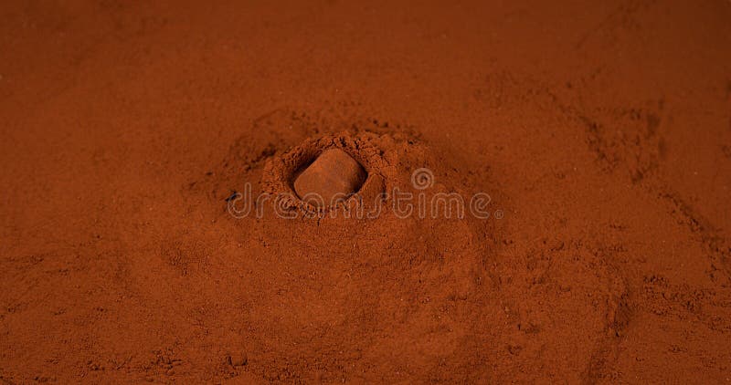 Chocolate Truffle Falling on Chocolate Powder Stock Photo - Image of ...