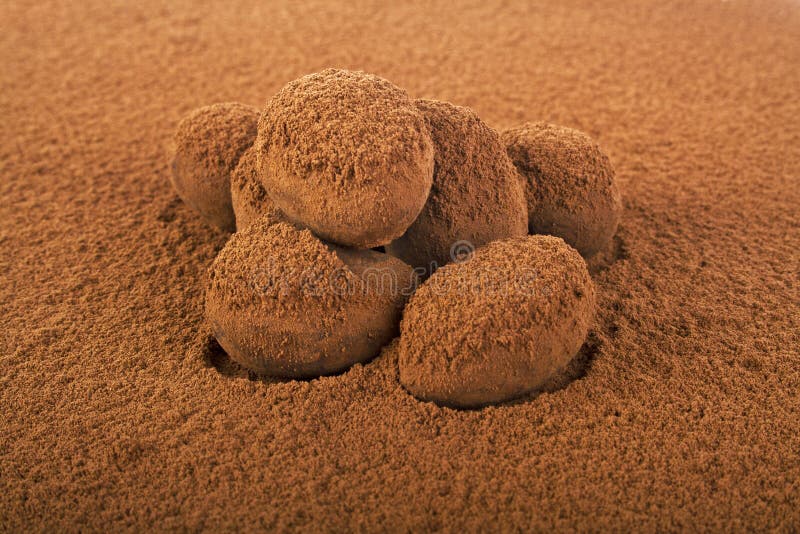 Chocolate Truffles Coated with Cocoa Powder Stock Photo - Image of ...