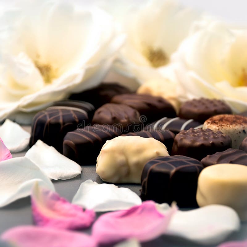 Chocolate Truffles and Rose Petals Stock Photo - Image of delight ...