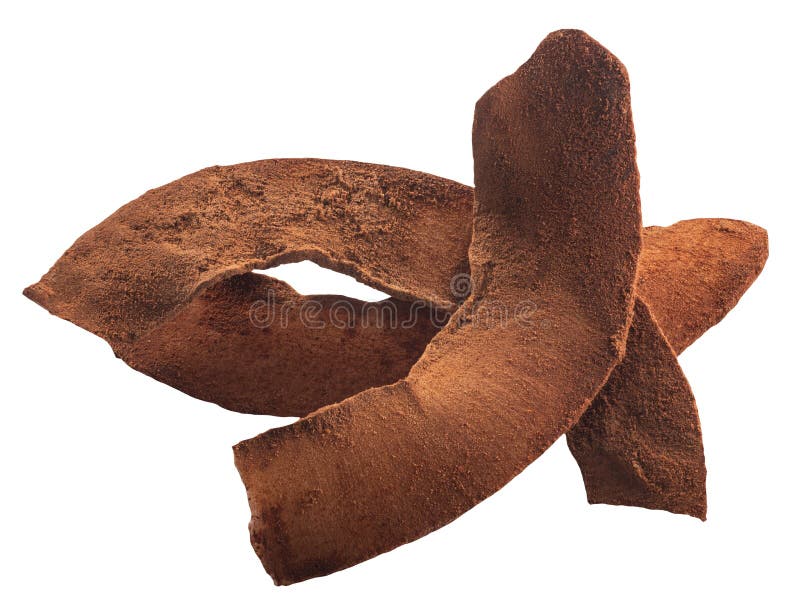 Coconut Meat C. Nucifera Kernel, Paths Stock Photo - Image of broken ...