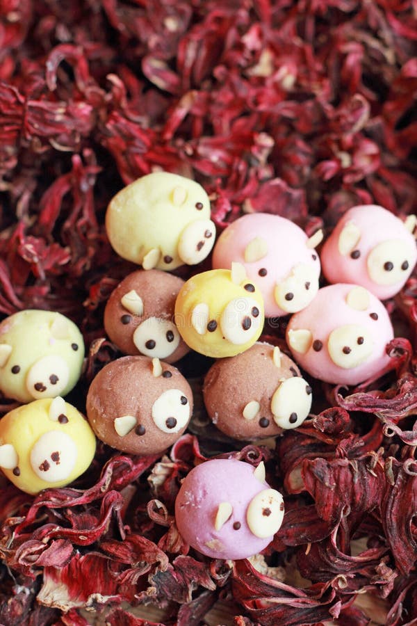 Chocolates Pig Snack - on Dried Okra. Stock Photo - Image of slice ...