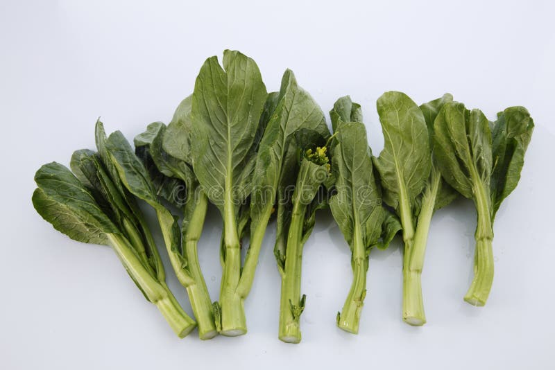 Choi Sum foto de archivo. Imagen de flor, fondo, vegetariano - 63909046