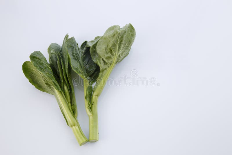 Choi sum stock photo. Image of oriental, texture, choy - 63908988