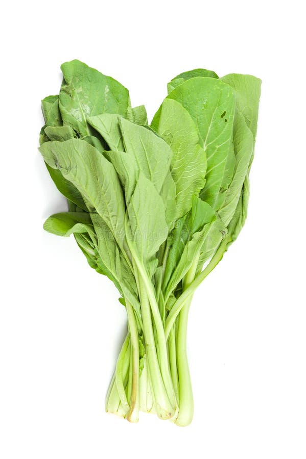Fresh choi sum stock photo. Image of young, market, choi - 20879700