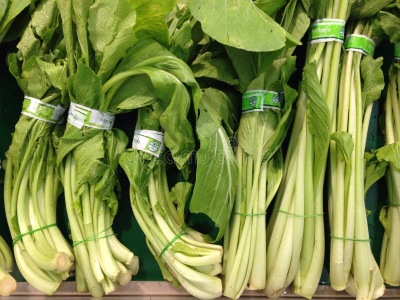 Choi sum editorial stock photo. Image of green, vegetable - 43748573