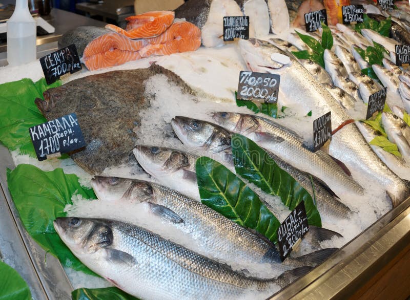 Choice of Fish at Food Market Stock Photo - Image of seabass, fish ...