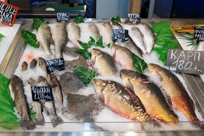 Choice of fish at market stock photo. Image of healthy - 40283528