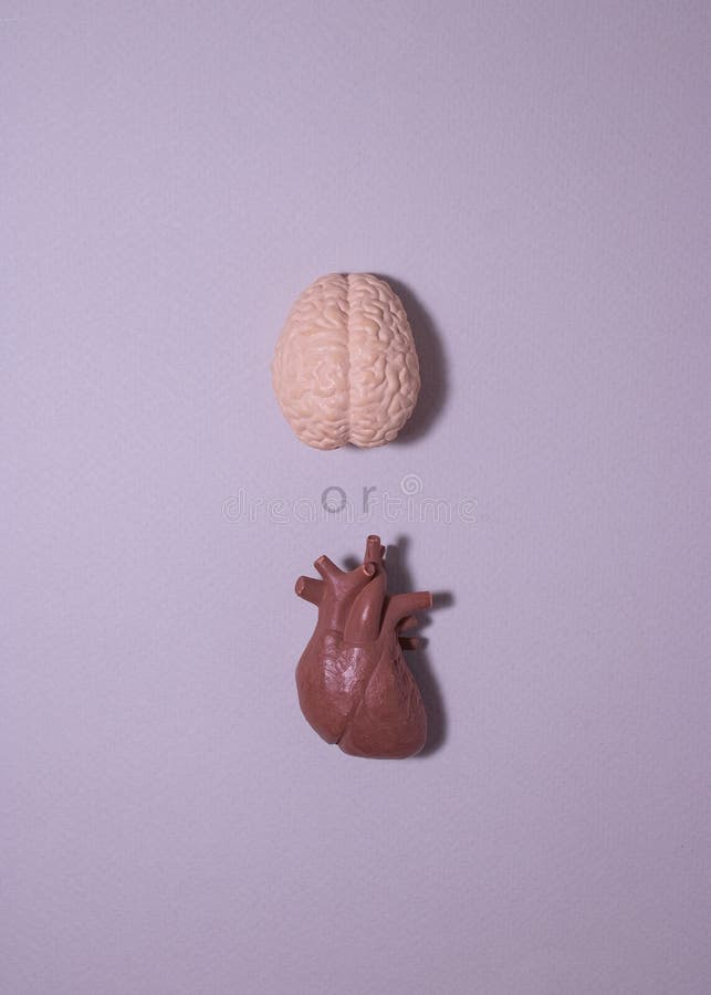 A Choice between the Heart and the Mind Stock Photo - Image of ...