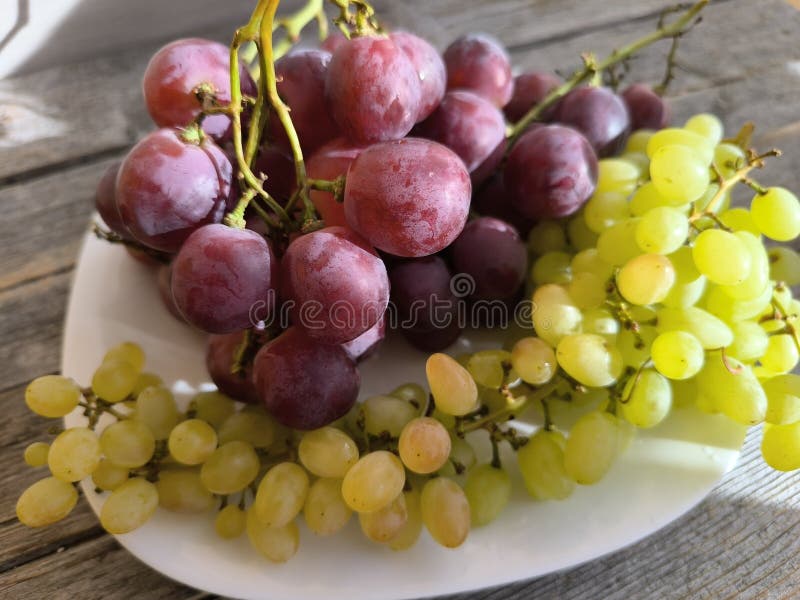 Choice of Two Varieties of Fresh Grapes Presented on a Platter Stock ...