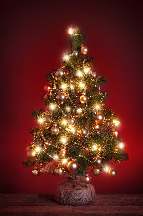 Choinka obraz stock. Obraz złożonej z xmas, światło, dekoracyjny - 22033911