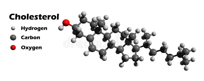 3d Cholesterol Structure Stock Illustrations – 981 3d Cholesterol ...