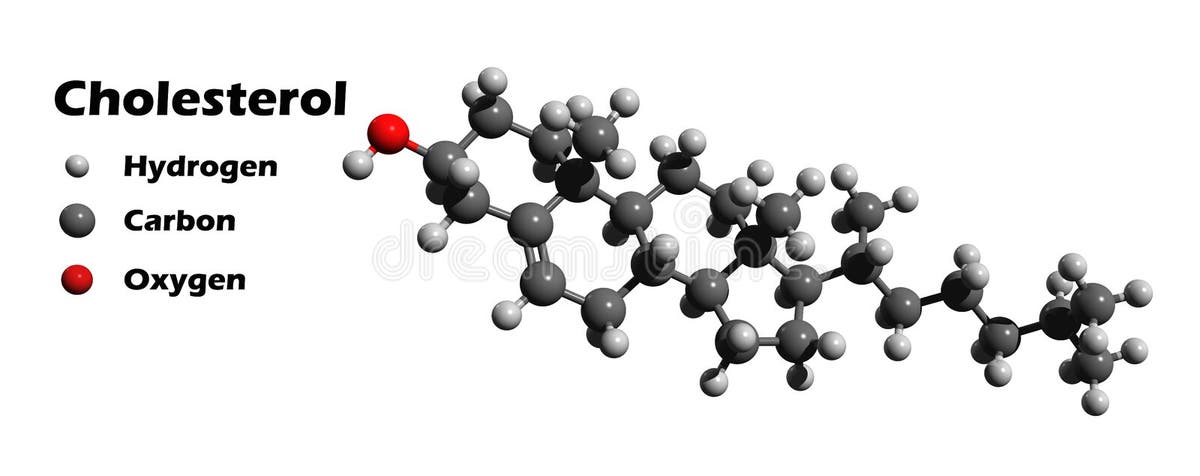 Cholesterol Structure Stock Illustrations – 2,281 Cholesterol Structure ...