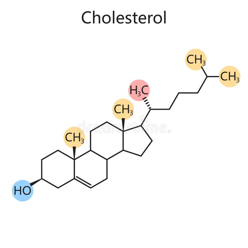 Cholesterol Molecular Structure Chemical Diagram Stock Illustration ...