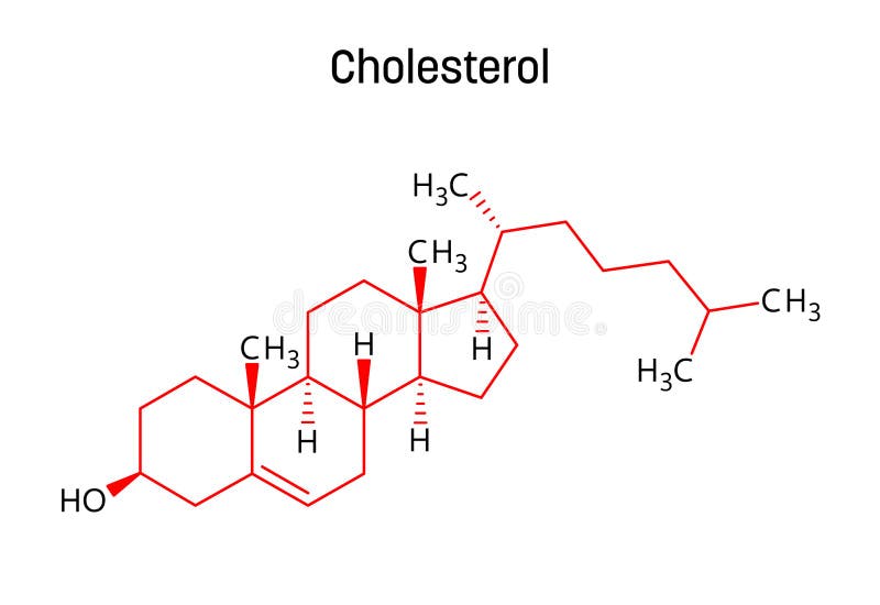 Cholesterol Structure Background Stock Vector - Illustration of esters ...