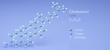 Cholesterol, Molecular Structures, Lipids, 3d Model, Structural ...