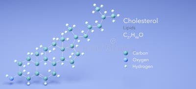 Cholesterol, Molecular Structures, Lipids, 3d Model, Structural ...