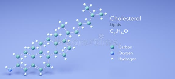 Cholesterol, Molecular Structures, Lipids, 3d Model, Structural ...