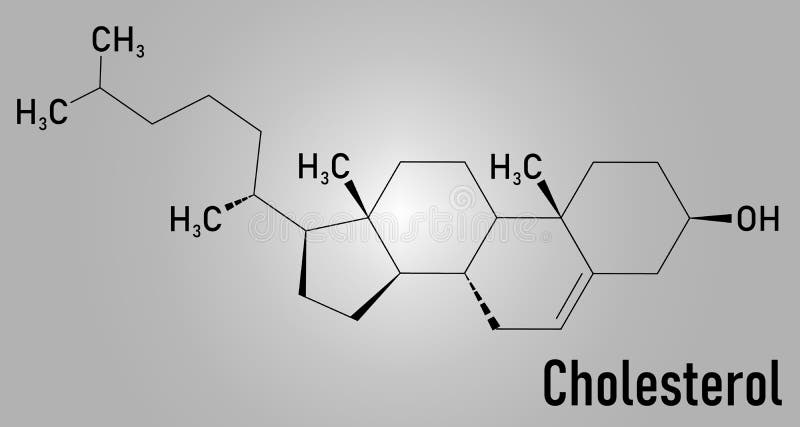 Cholesterol Molecule. Skeletal Formula. Cemical Structure. Vector ...