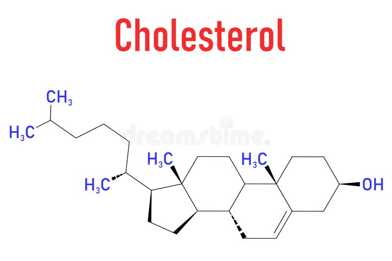 Cholesterol Molecule. Skeletal Formula. Cemical Structure. Vector ...
