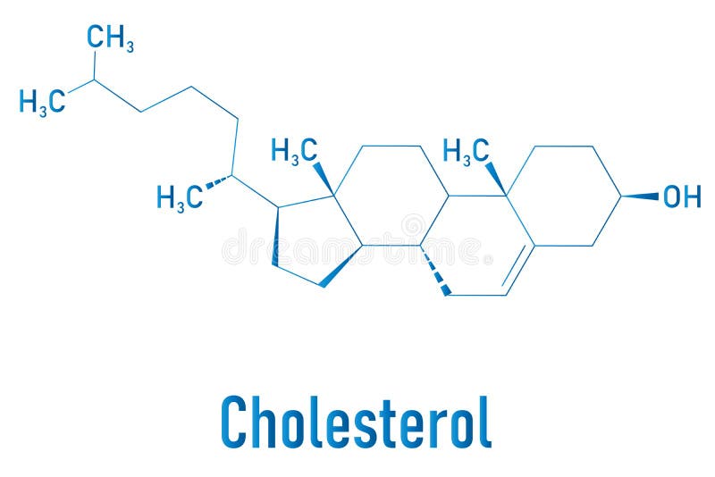 Cholesterol Molecule. Skeletal Formula. Cemical Structure. Vector ...